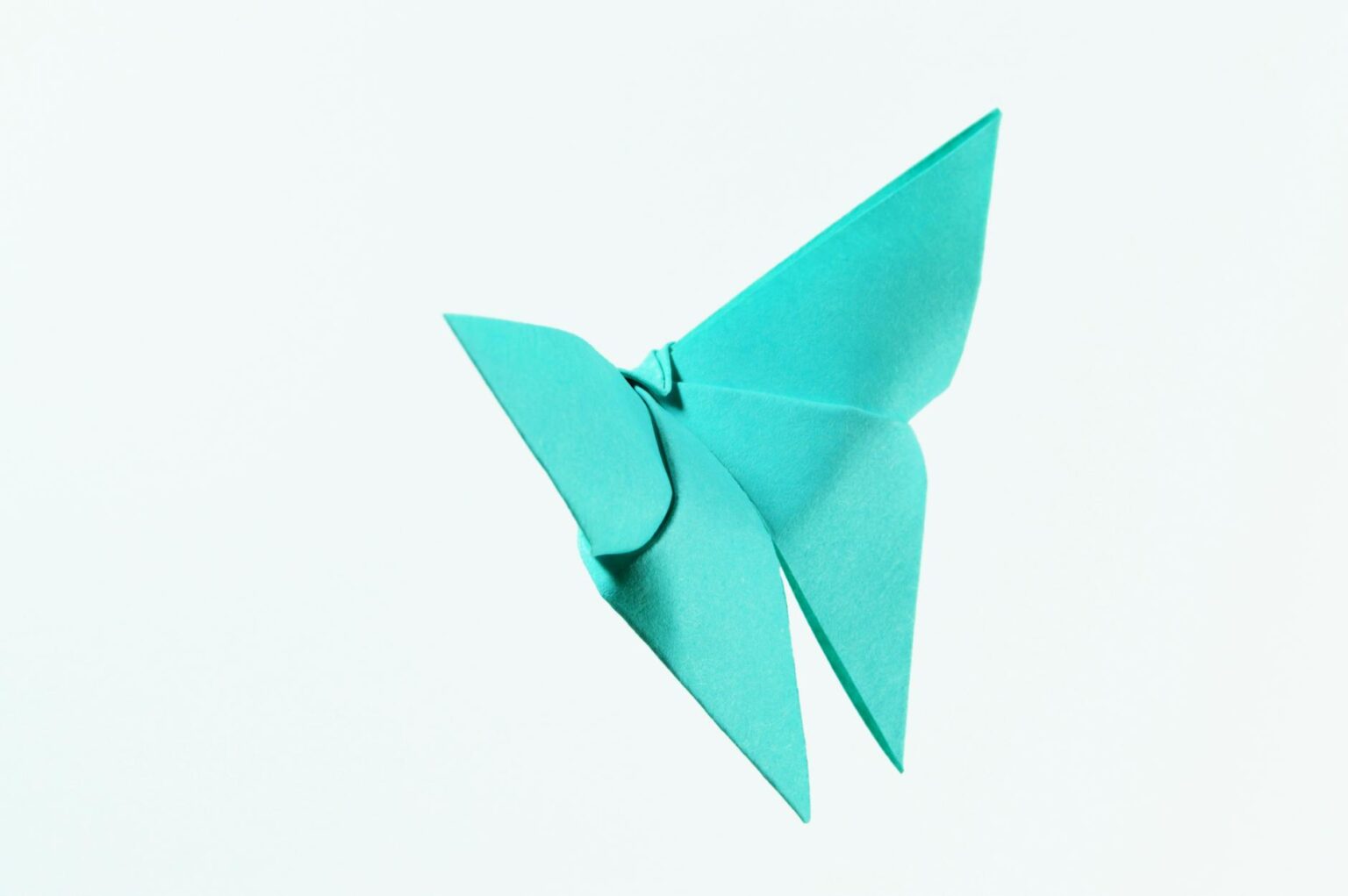 61 Origami Puns That Really Fold Up the Competition – Ponly Puns